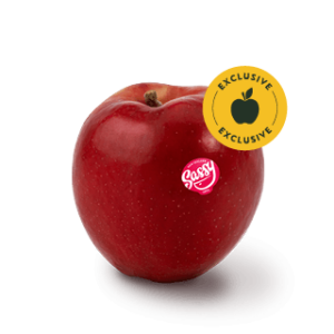 Bright Red Apple, Dazzle™ Golden Bay Fruit Orchards, NZ
